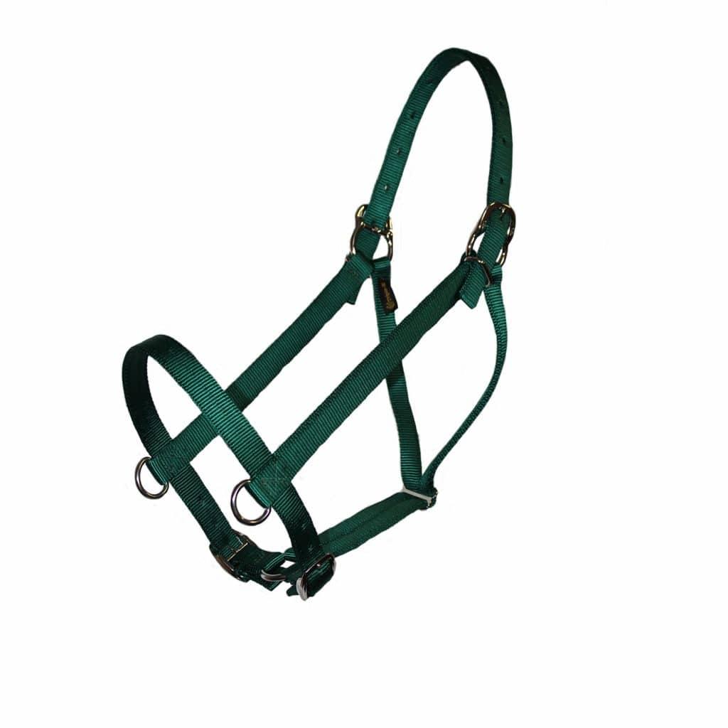Parker Adjustable Halter with D-Rings, No Snap - Horse Tack & Supplies