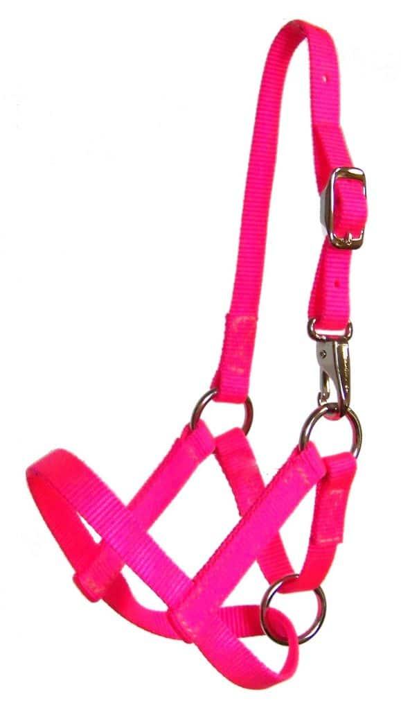 Light Dress Llama Halter - Horse Tack & Supplies